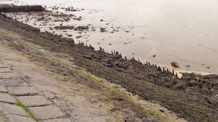 Tracing Canvey's Seawall since the 17th Century. | 2021 The road to ...