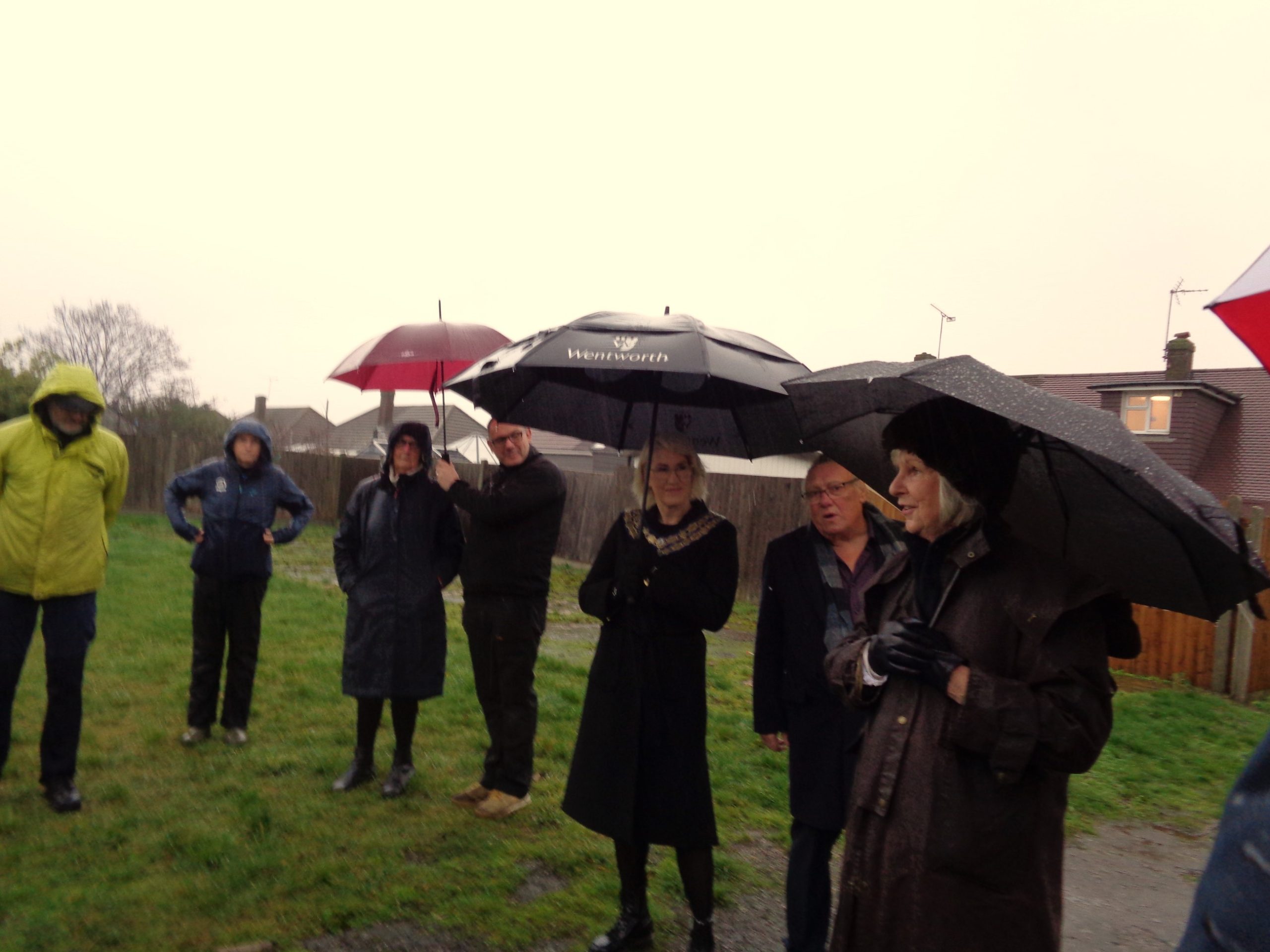 Tree Planting at the Gunny. | The Gunny Showcase | CanveyIsland.org