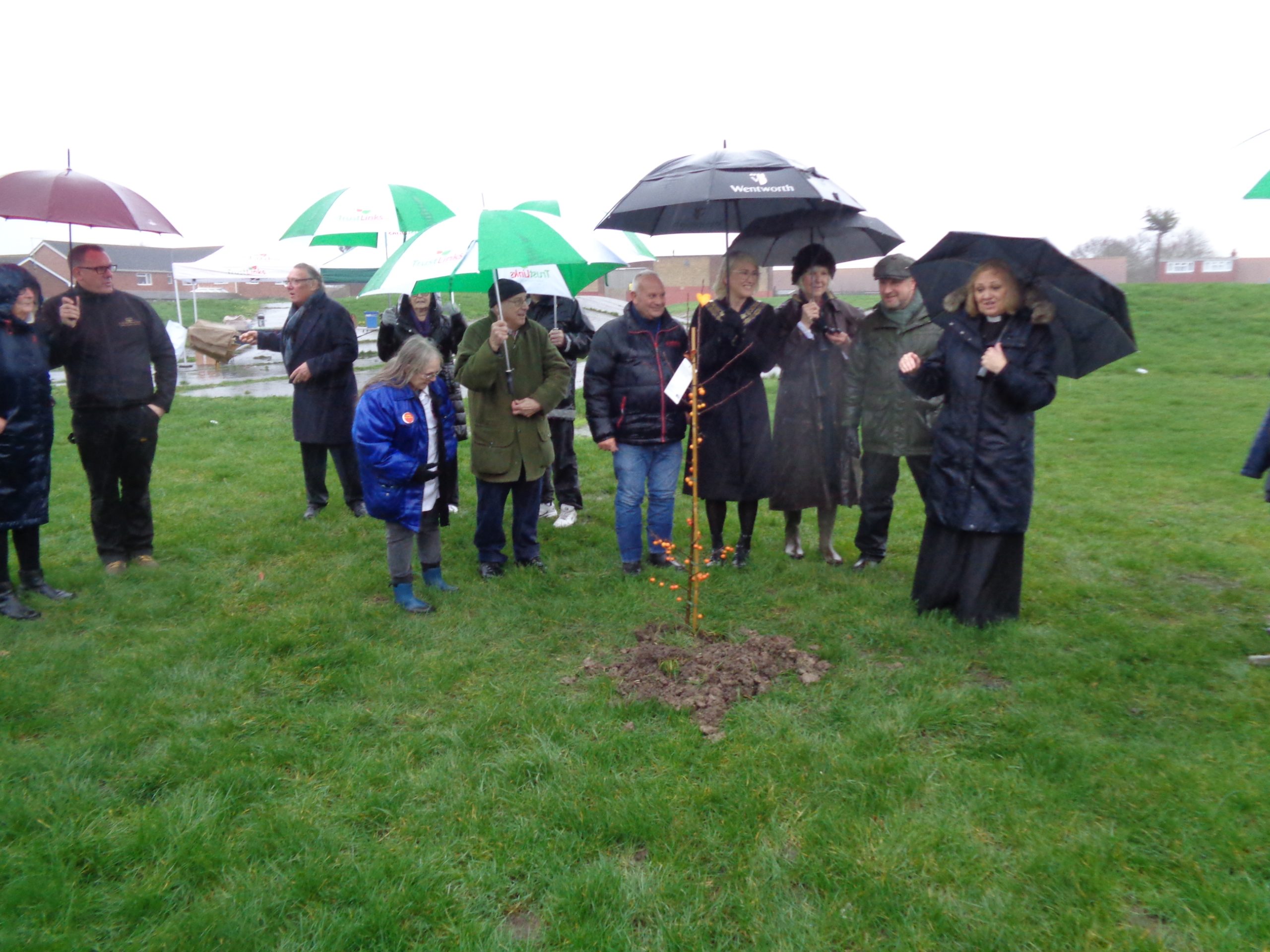 4 - Tree Planting at the Gunny. | The Gunny Project, The Gunny Showcase ...